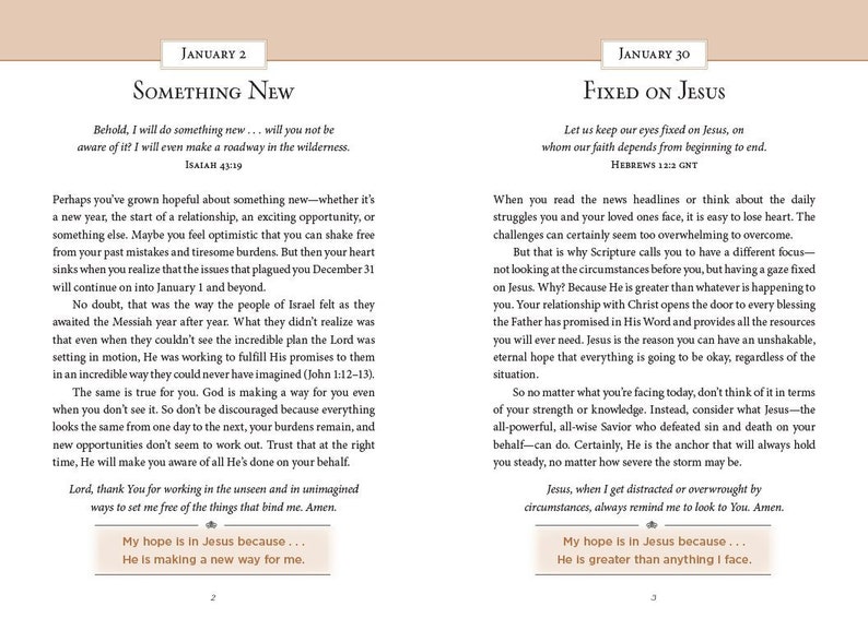 JESUS Our Perfect Hope 365 Devotions-by Paul Stanley - Etsy