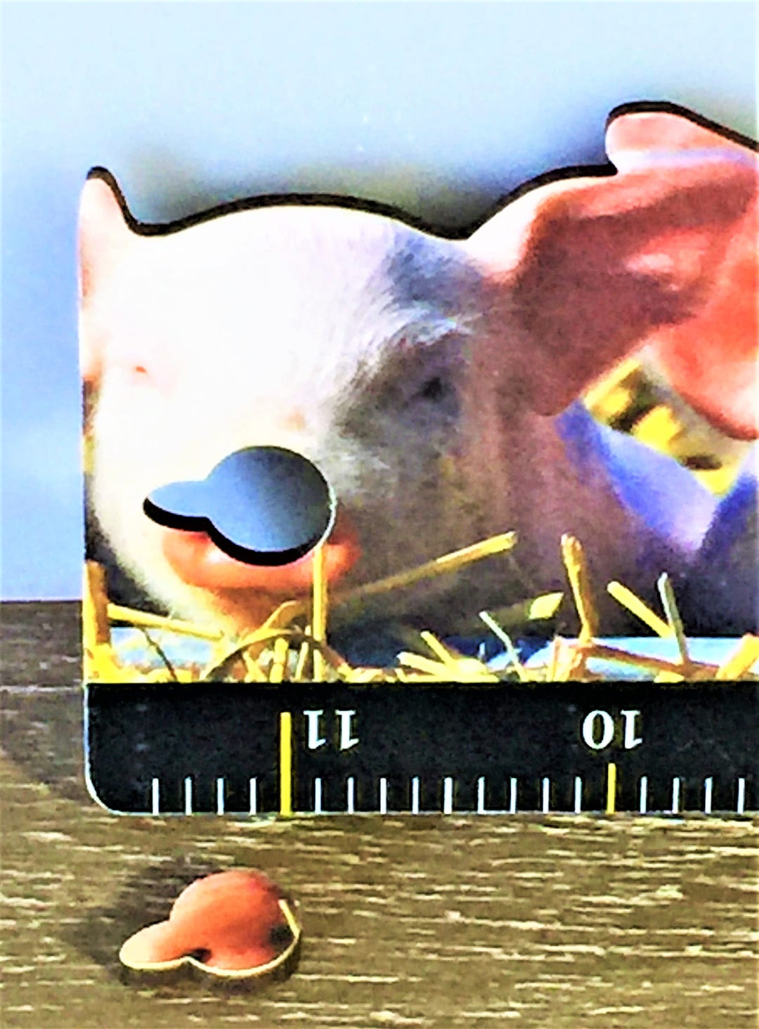 Vintage 12" PIG RULER Die Cut and Hangable for Display Made in Germany ...
