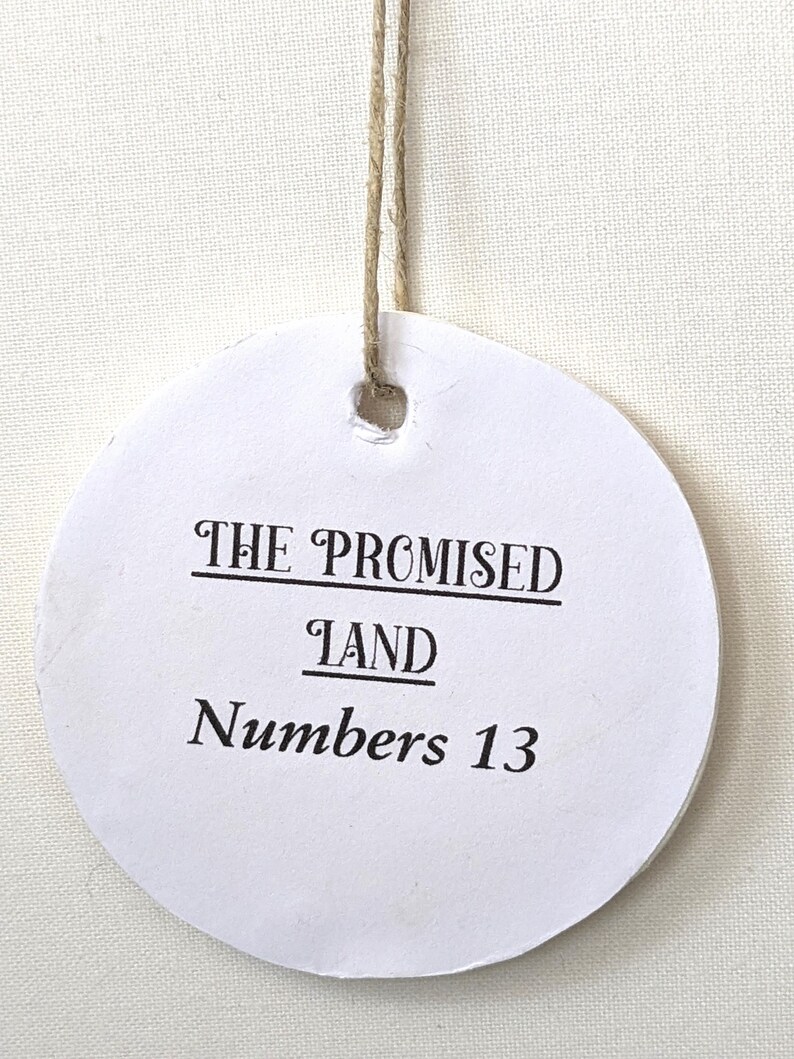 Grapes From the Promised Land Jesse Tree Advent Christmas Ornament for ...
