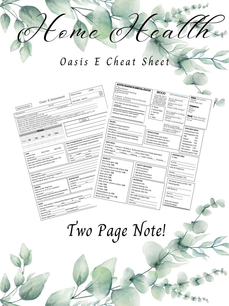 Home Health Oasis E Cheat Sheet SOC/ROC W/ Daily Patient Planner and ...