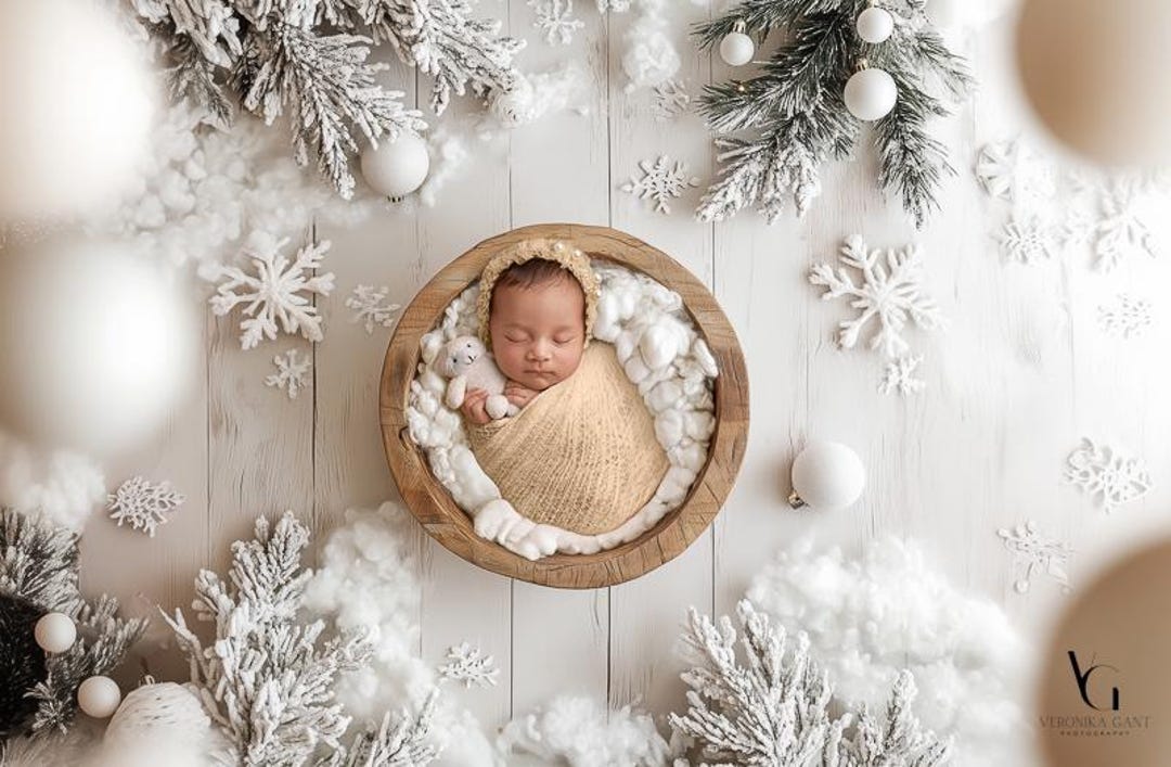 Frosted Fairy Tale Digital Backdrop - Newborn Baby in Winter Magic ...
