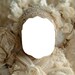 Luxurious Cream Floral Newborn Digital Backdrop - Elegant Baby Photo ...