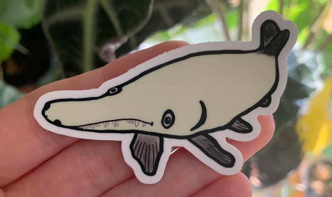 Gar Sticker - Etsy