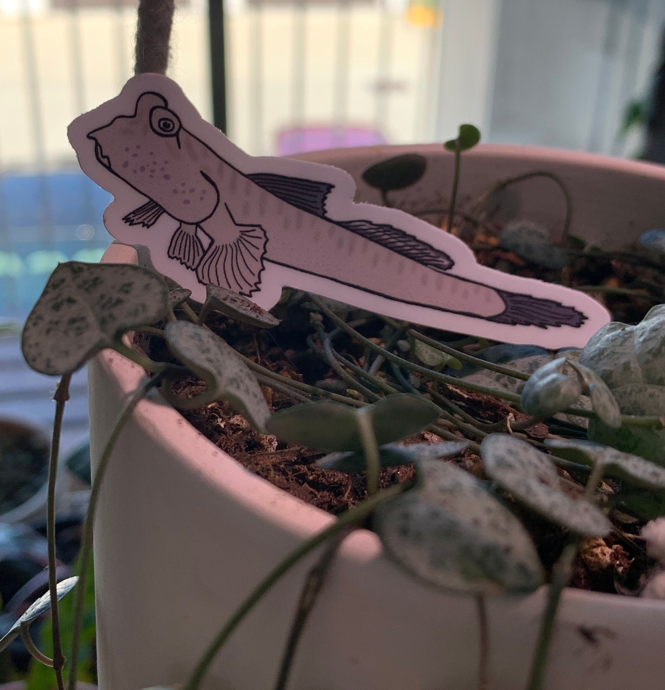 Mudskipper Sticker - Etsy