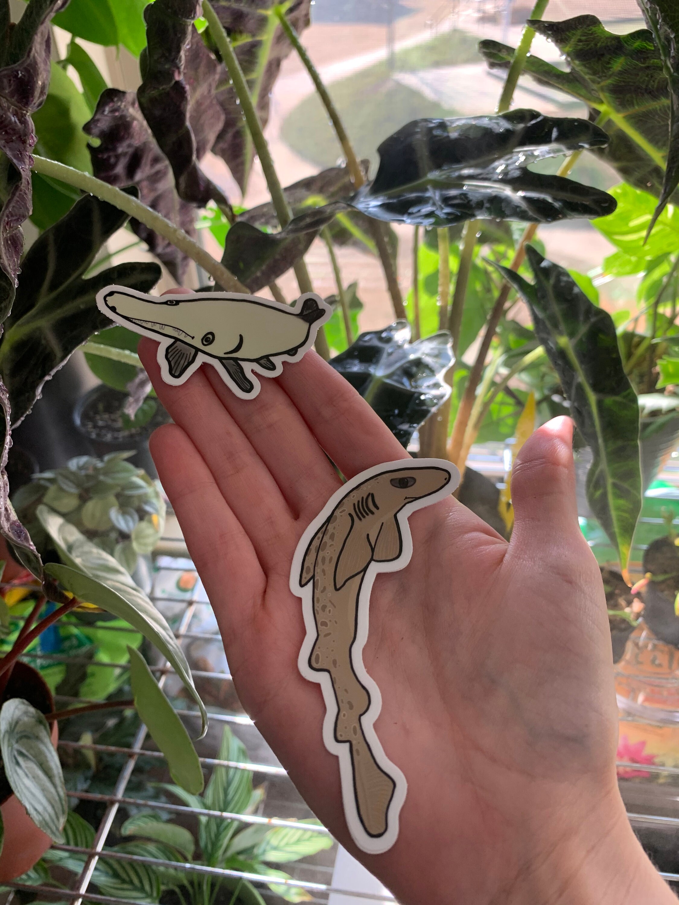 Grumpy Shark Sticker - Etsy