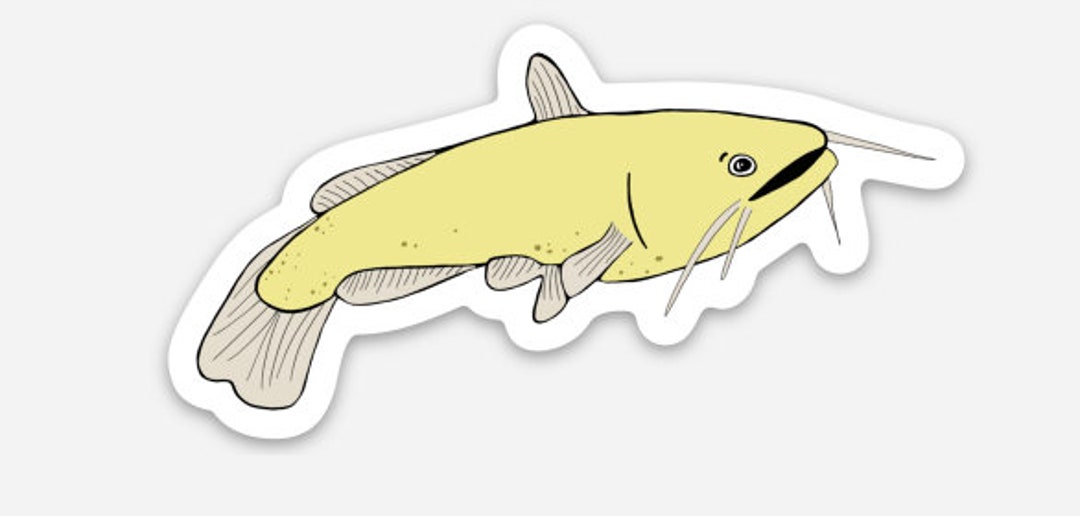 Yellow Catfish Sticker - Etsy