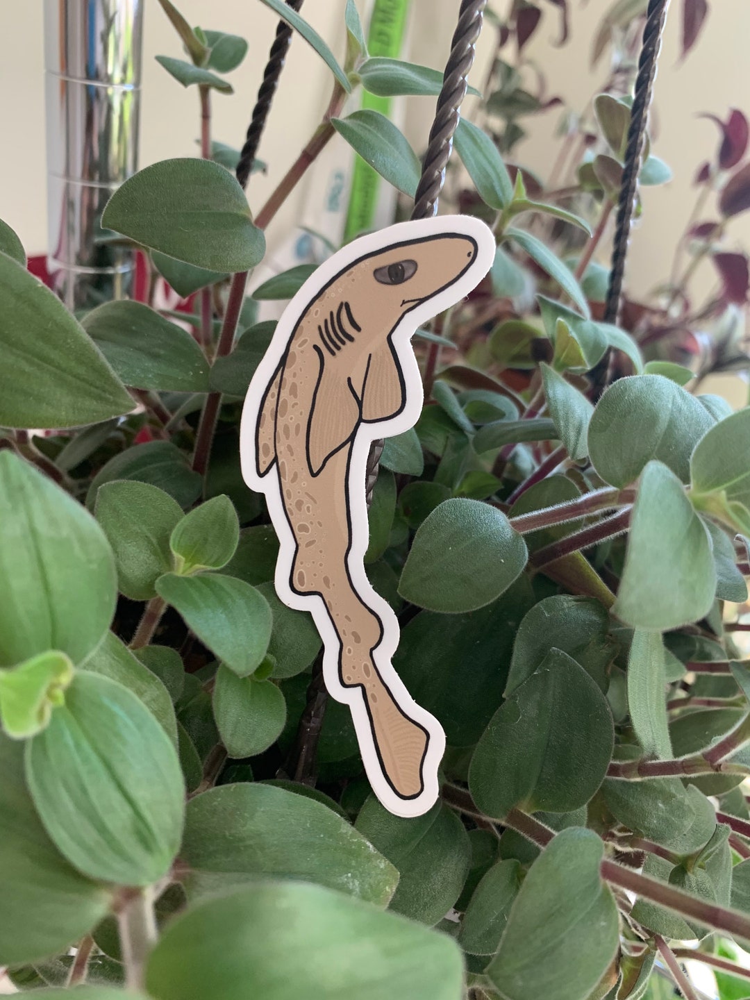 Grumpy Shark Sticker - Etsy