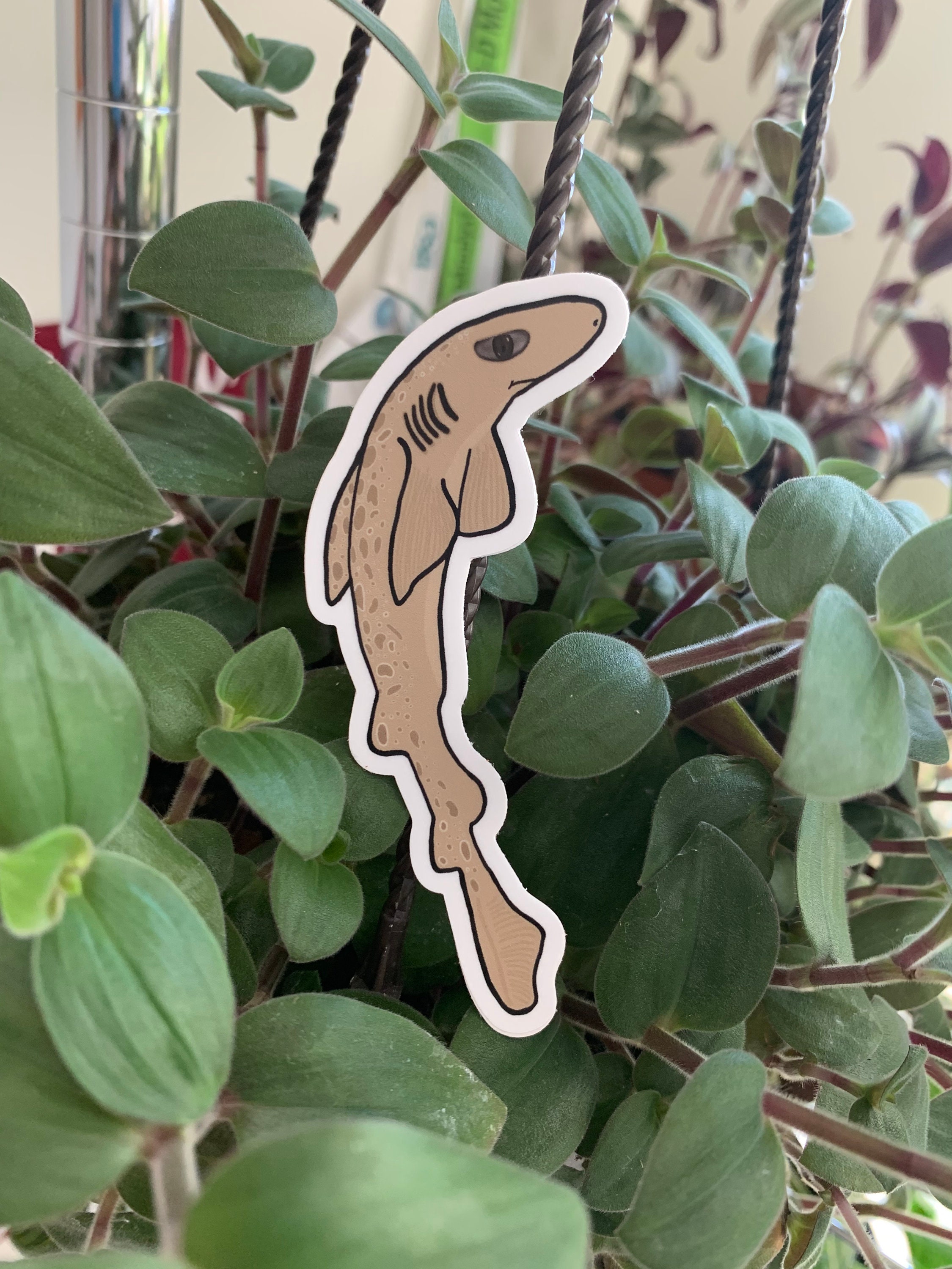 Grumpy Shark Sticker - Etsy