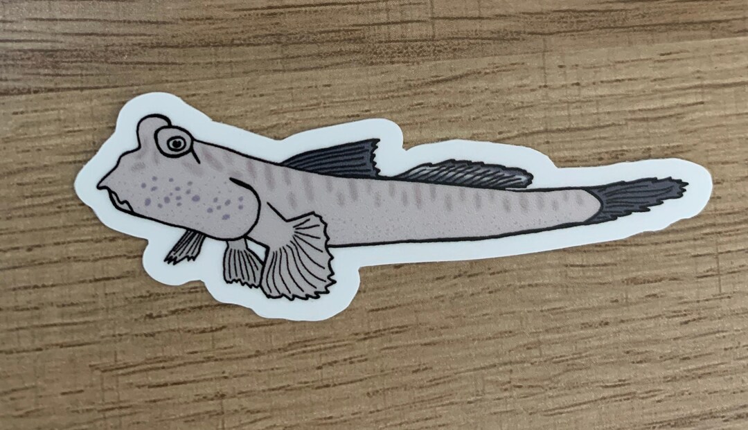 Mudskipper Sticker - Etsy
