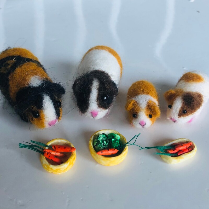 Guinea Pig Toys - Etsy