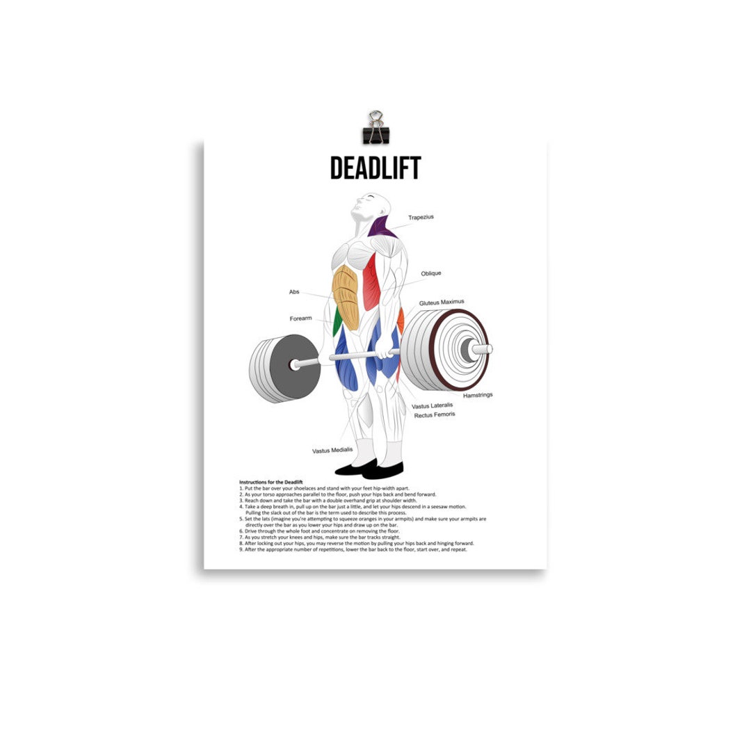 Deadlift, Gym Poster, Bodybuilding, Weightlifting, Powerlifting ...