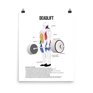 Deadlift, Gym Poster, Bodybuilding, Weightlifting, Powerlifting ...
