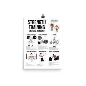 Exercise Diagrams - Gym Poster, Bodybuilding, Weightlifting ...