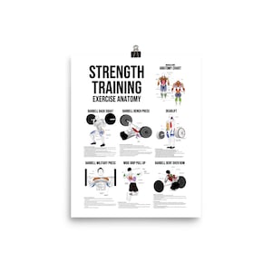 Exercise Diagrams - Gym Poster, Bodybuilding, Weightlifting ...