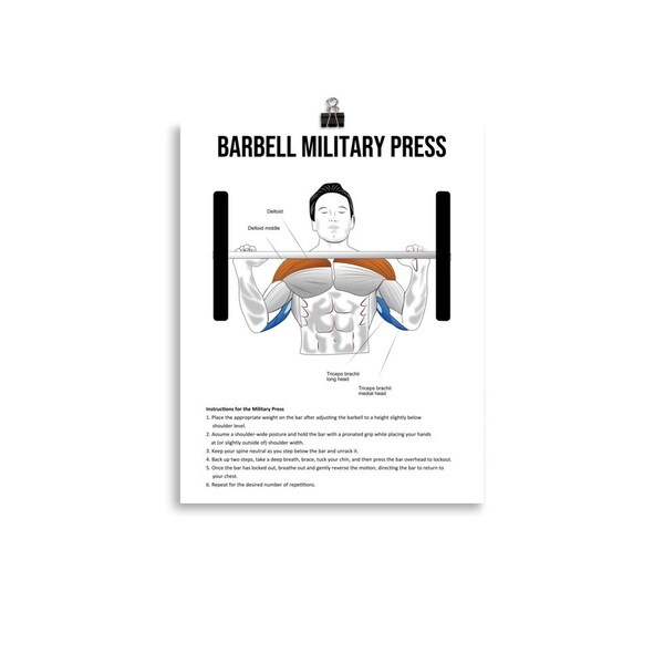 Muscle Anatomy Gym Poster - Etsy