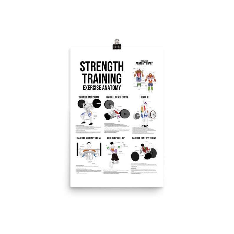 Exercise Diagrams Gym Poster Bodybuilding Weightlifting - Etsy