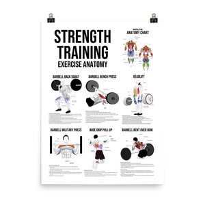 Exercise Diagrams - Gym Poster, Bodybuilding, Weightlifting ...