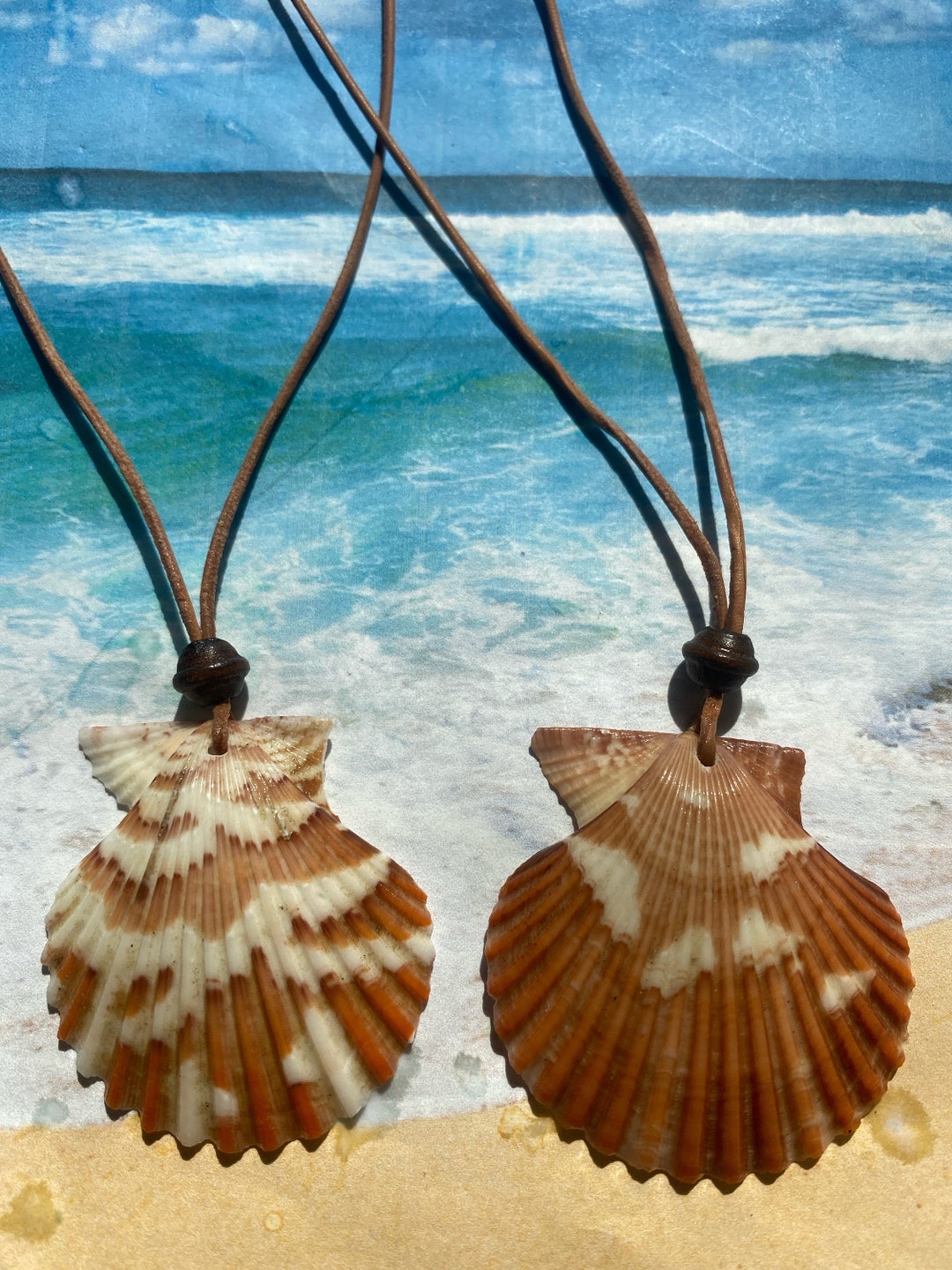 Real, Natural, Scallop Shell Choker, Beach Choker, Minimalist Boho ...