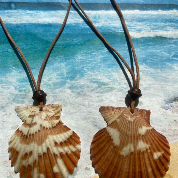 Shell Choker - Etsy