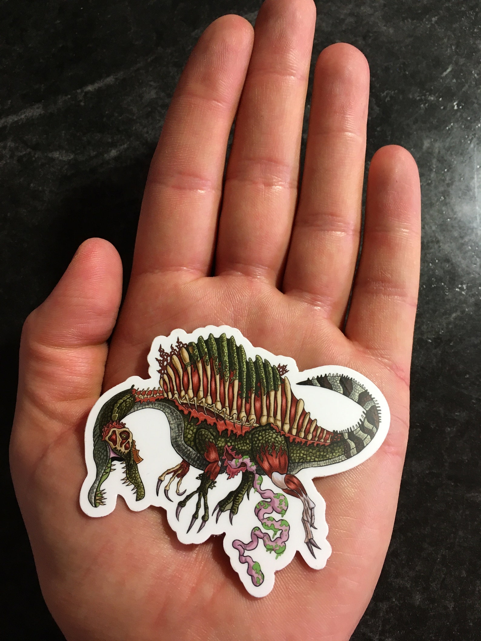 Zombie Spinosaurus Dinosaur Sticker - Etsy
