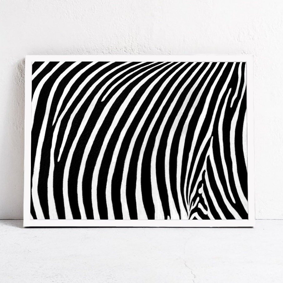 Zebra Art Print Zebra Photography Black and White Wall Art | Etsy