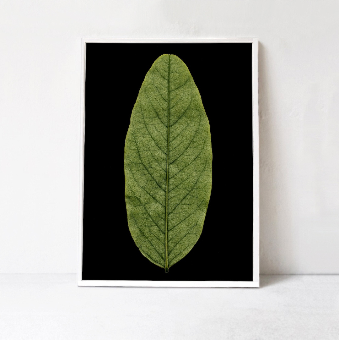 Green Poster, Dark Interiors Wall Art Print: Green Leaf Print- Large ...