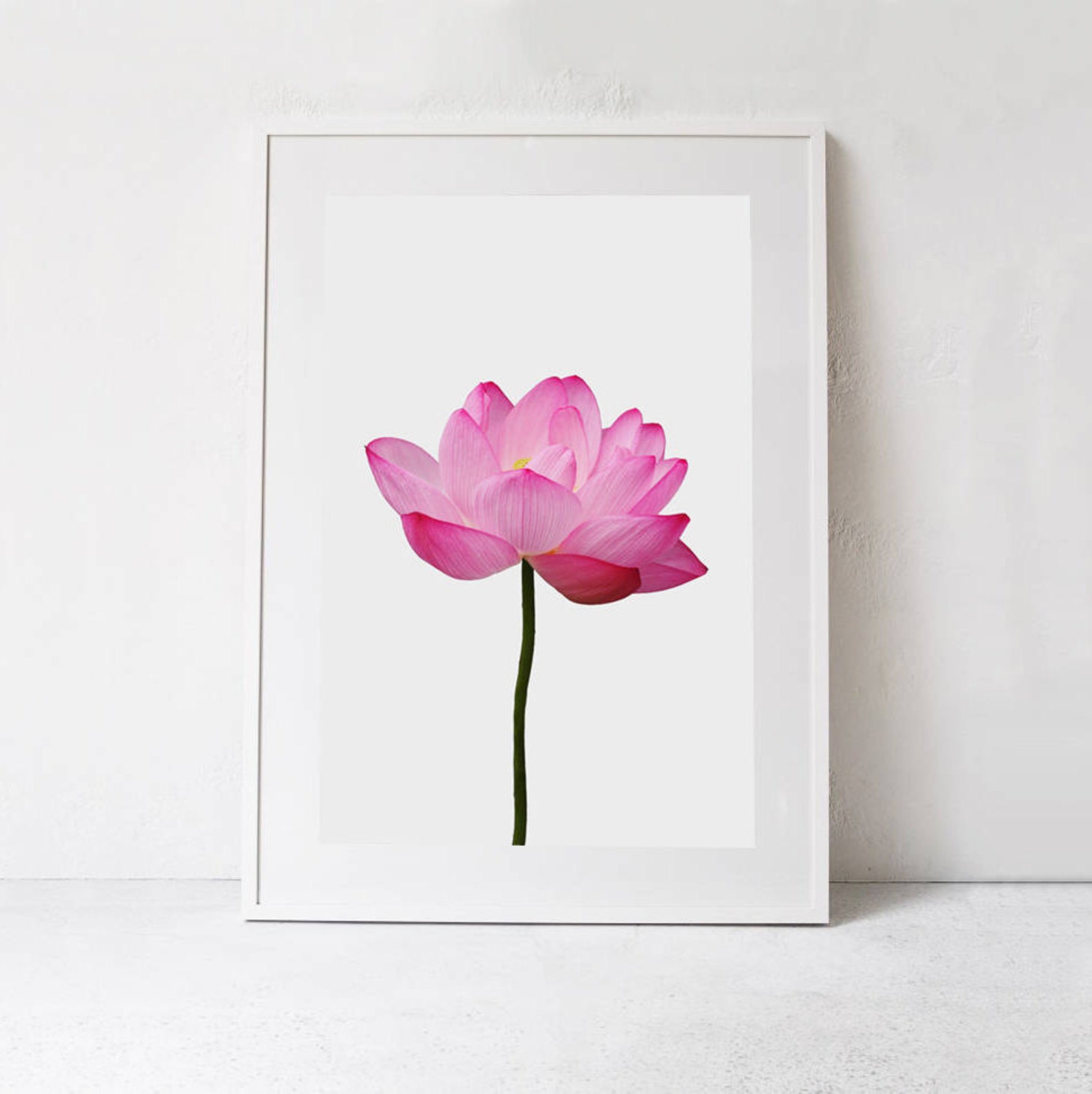 Lotus Flower Print Floral Photography Download Digital Print | Etsy