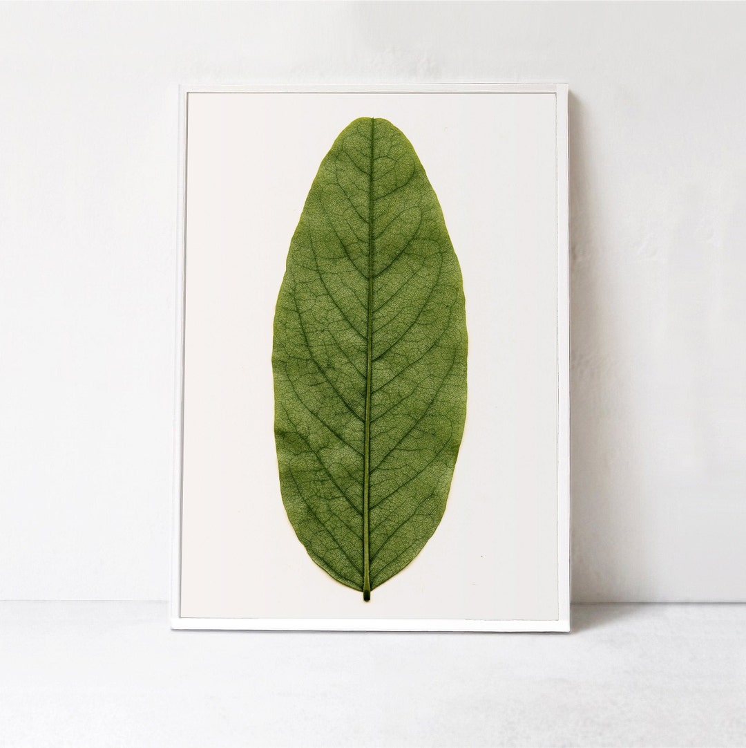 Green Art Print, Green Leaf Print: Large Poster Download. Botanical Art ...