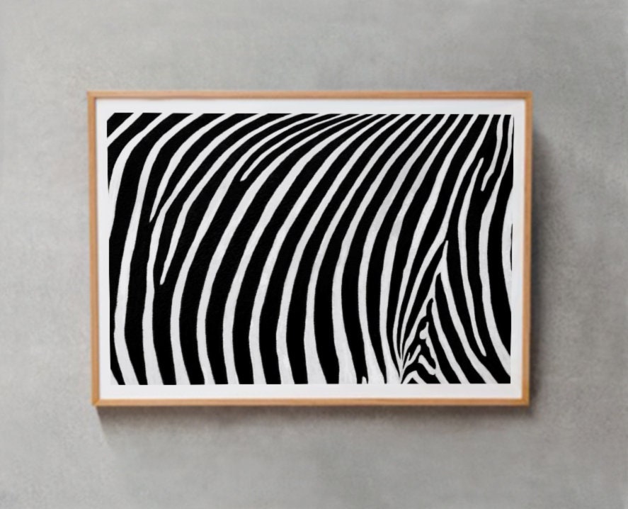 Zebra Art Print Zebra Photography Black and White Wall Art | Etsy