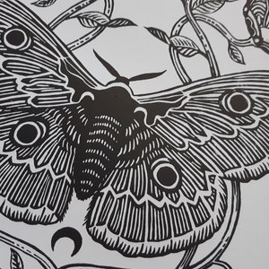 Original Moth, Butterfly Linocut Print - Etsy