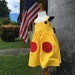 Pikachu Dress- Pikachu Costume- Pokemon Dress- Pokemon Costume- Pokemon ...