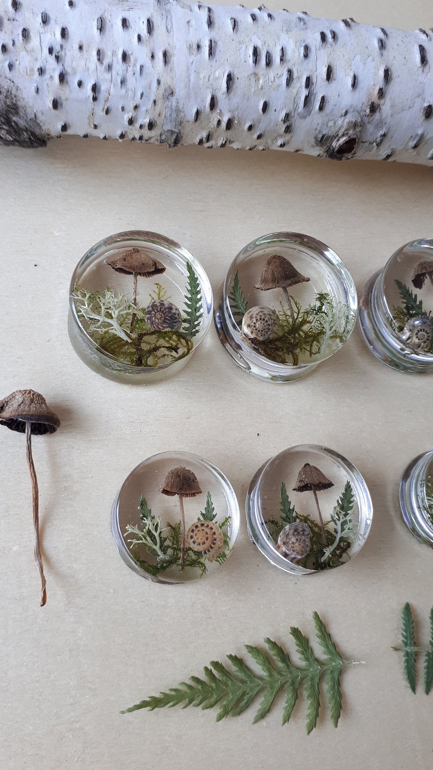 Mushroom Moss Ear Plugs Gauges Real Preserved Specimens in - Etsy Canada