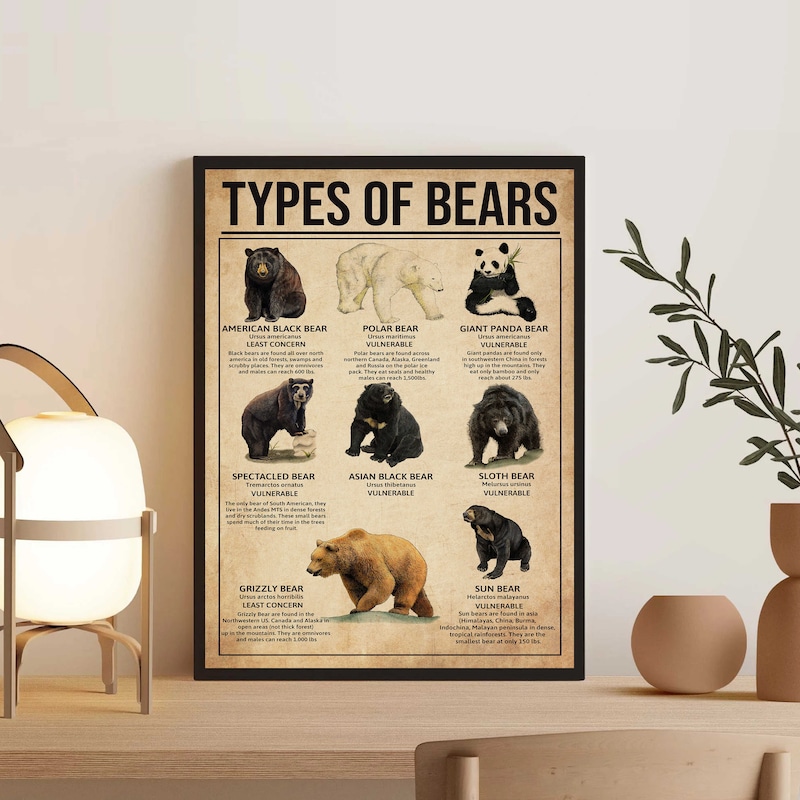 Bear Lovers - Etsy