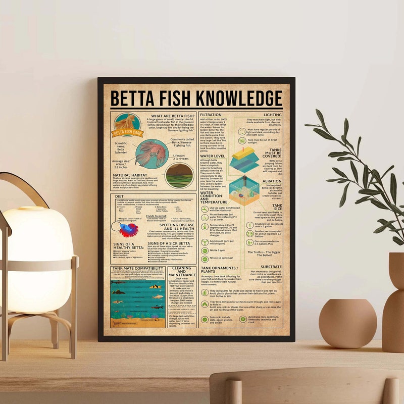 Betta Fish Art - Etsy