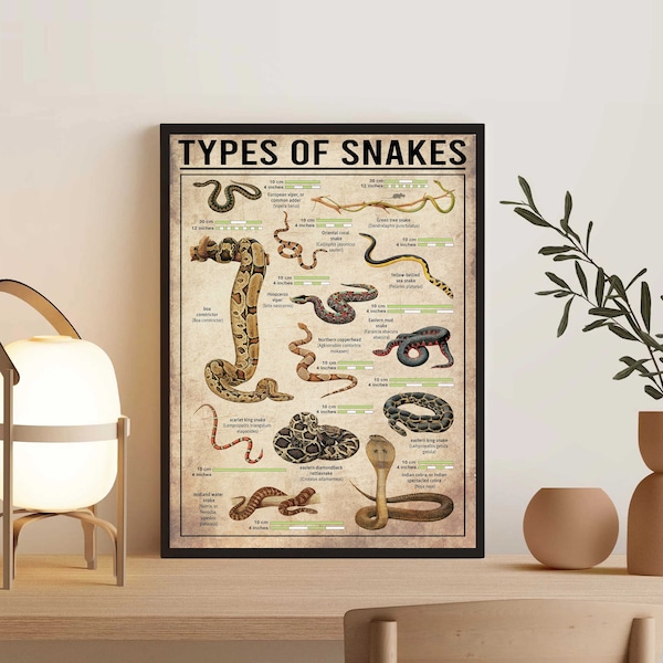 Snake Art Print - Etsy