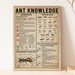 Unframed Ant Knowledge Poster, Types of Ants Vintage Poster, Ant Lover ...
