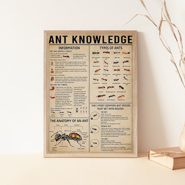 Ants - Etsy