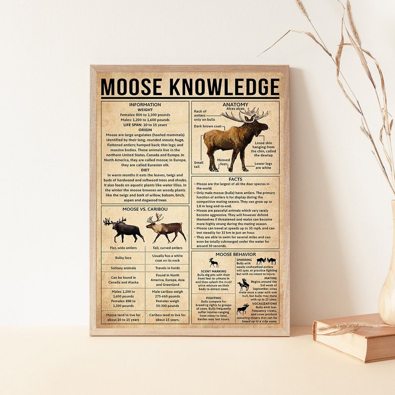 Moose Chart.com - Etsy Canada
