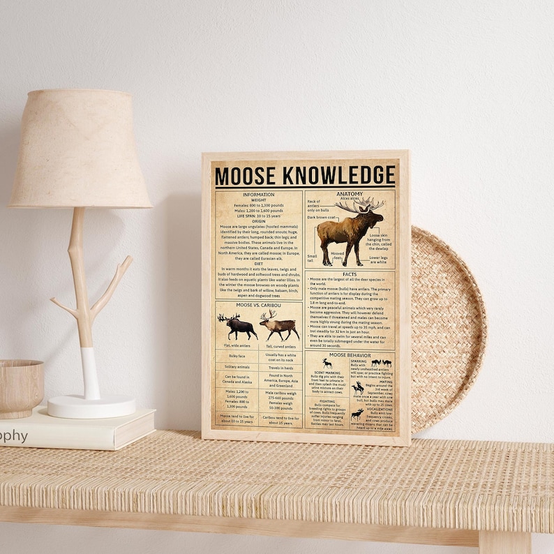 Moose Knowledge Poster, the Anatomy of A Moose, Moose Vintage Poster ...