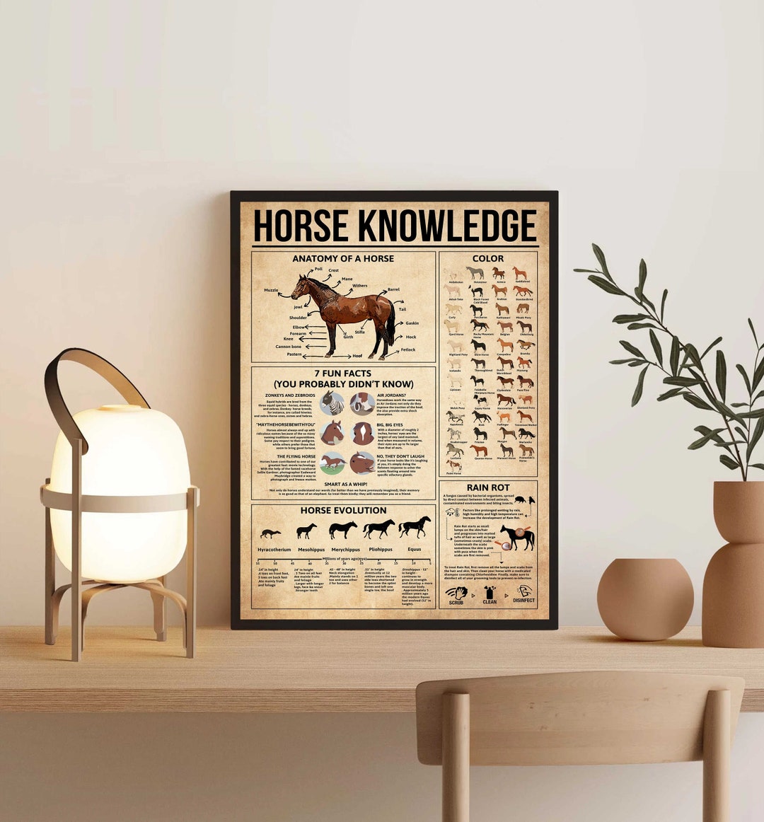 Horse Knowledge Vintage Poster Anatomy of A Horse Art Horse - Etsy