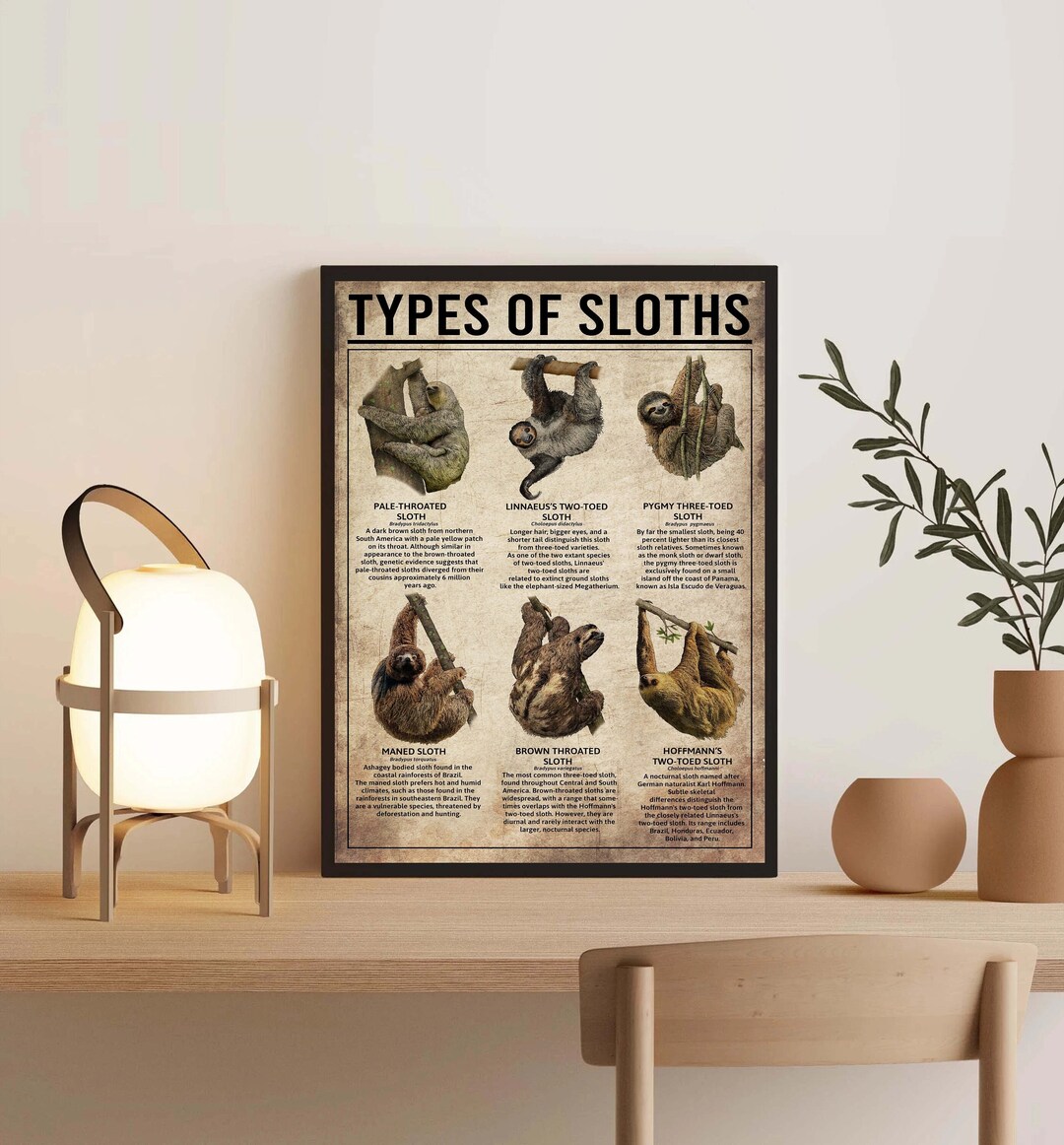 Unframed Types of Sloths Vintage , Sloth Lover Gift, Sloth , Sloth ...