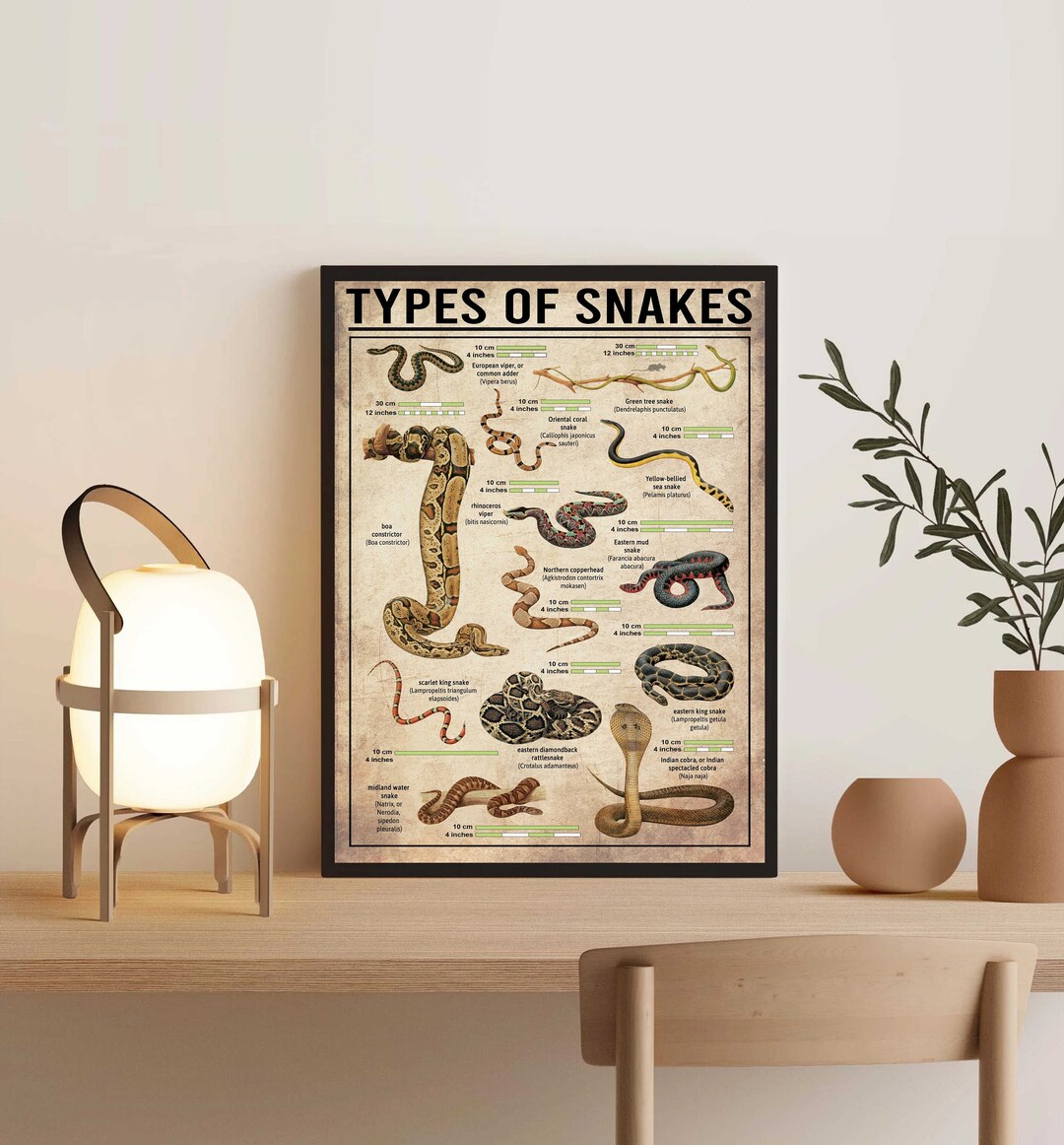 Unframed Types of Snakes Poster, Snake Vintage , Snake Print, Knowledge ...