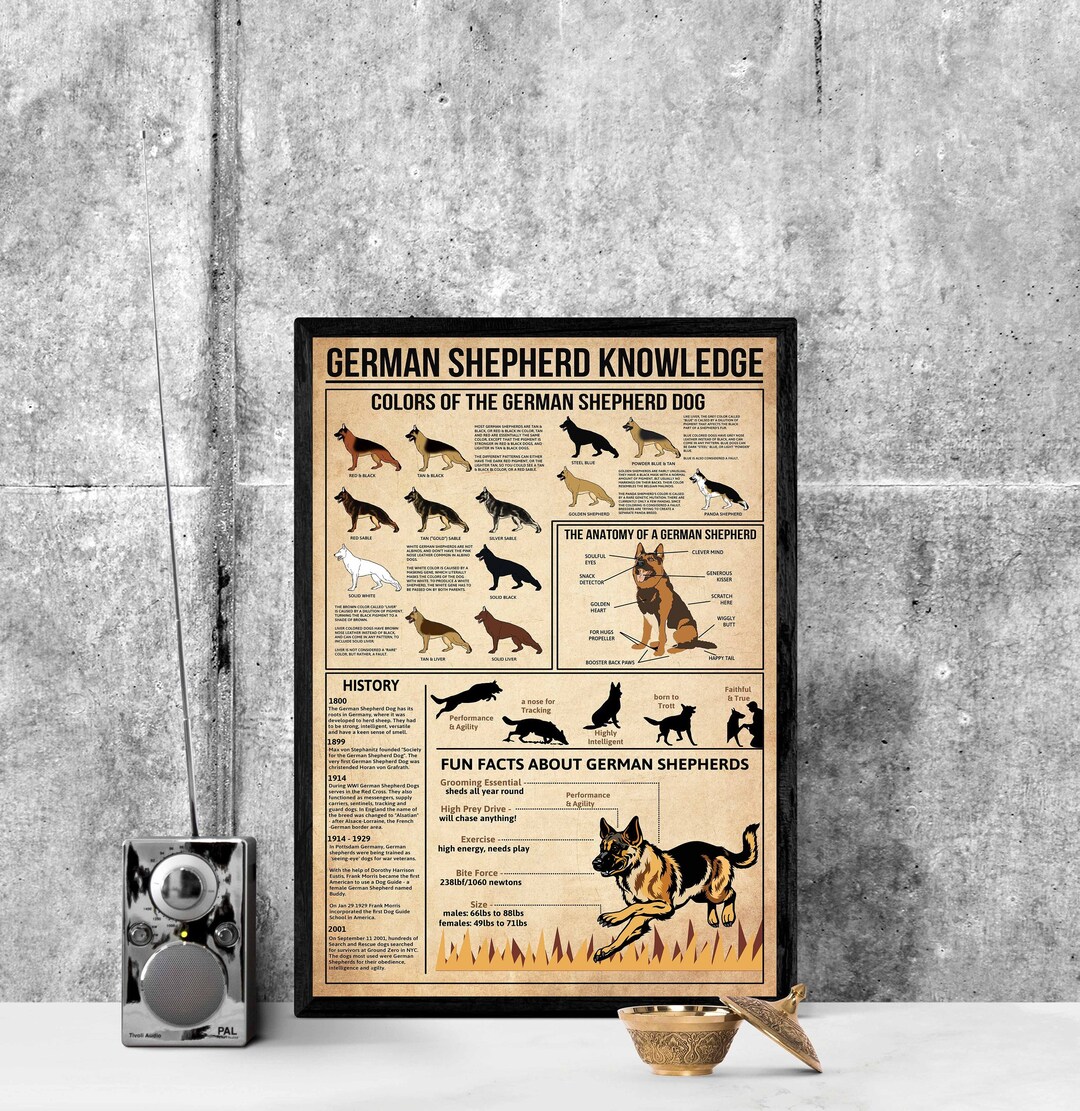 Unframed German Shepherd Knowledge , German Shepherd Poster, All About ...
