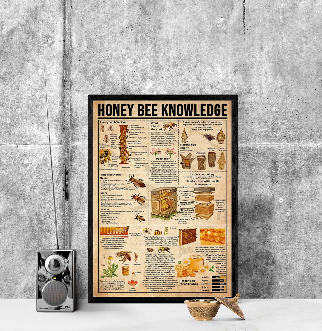 Unframed Honey Bee Knowledge, Honey Bee Vintage Poster, All About Honey ...