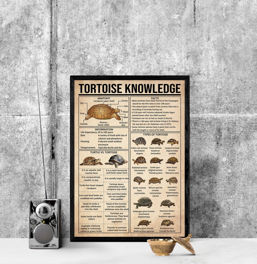Unframed Tortoise Knowledge , Tortoise Lover Gift, All About Tortoise ...