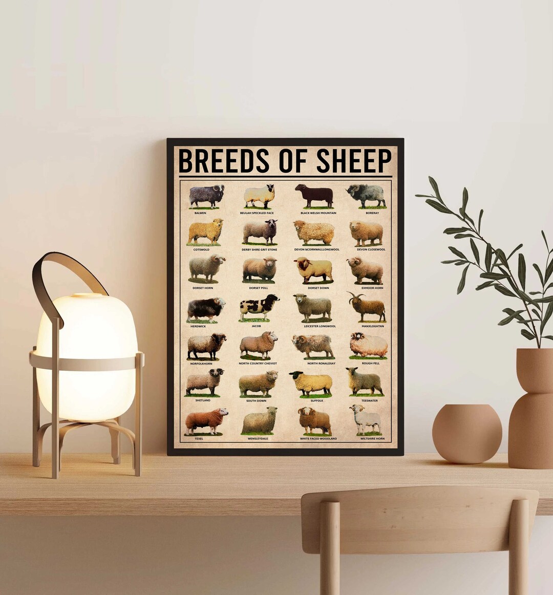 Unframed Breeds of Sheep Knowledge Poster, Vintage Sheep Farm Poster ...