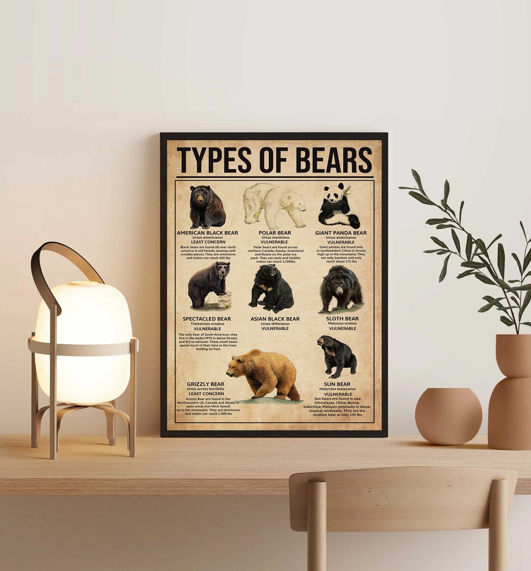 Unframed Types of Bears Poster, Bear Knowledge , Bear Lover Gift, Bears ...