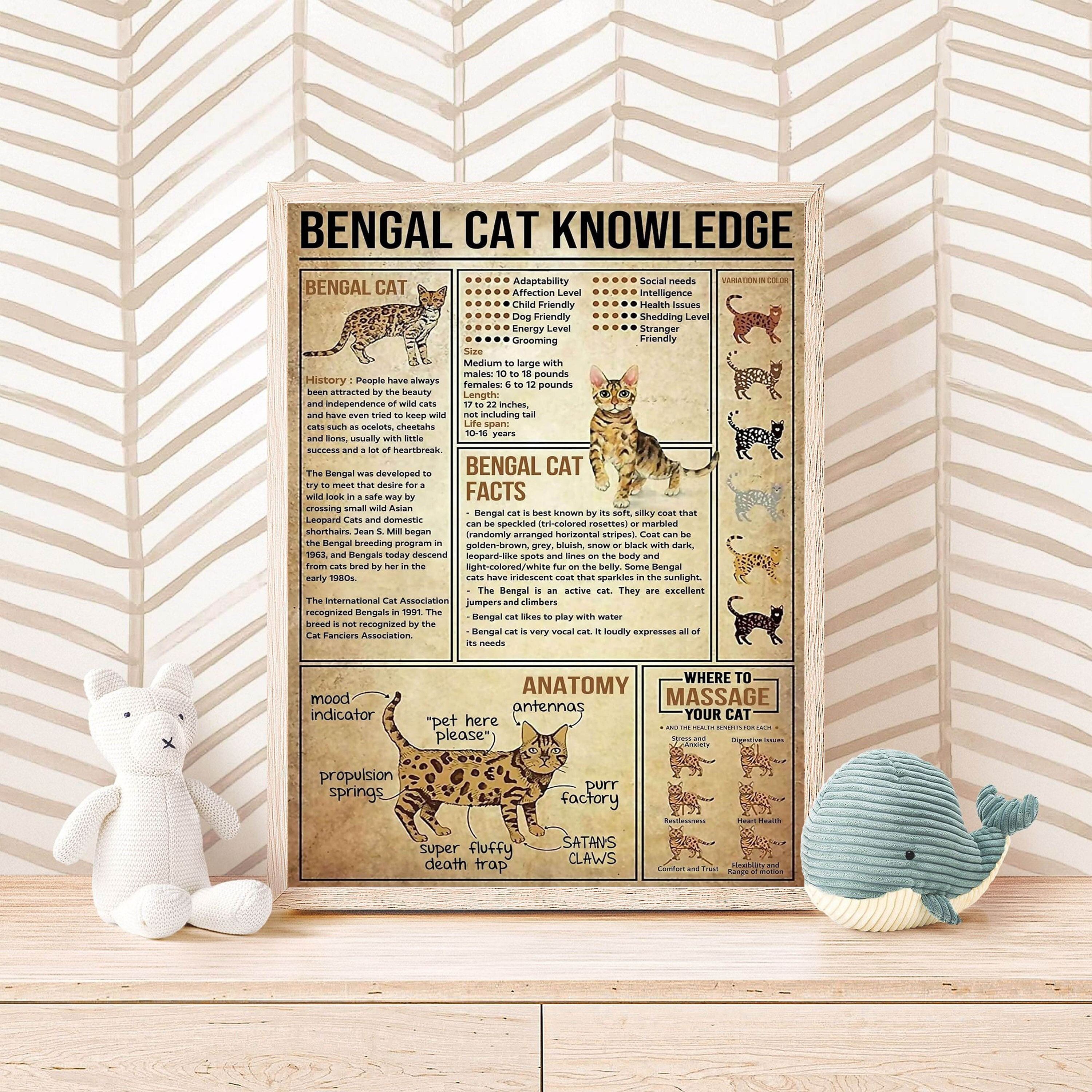 Bengal Cat Knowledge Poster Bengal Cat Facts Print Cat Lover - Etsy