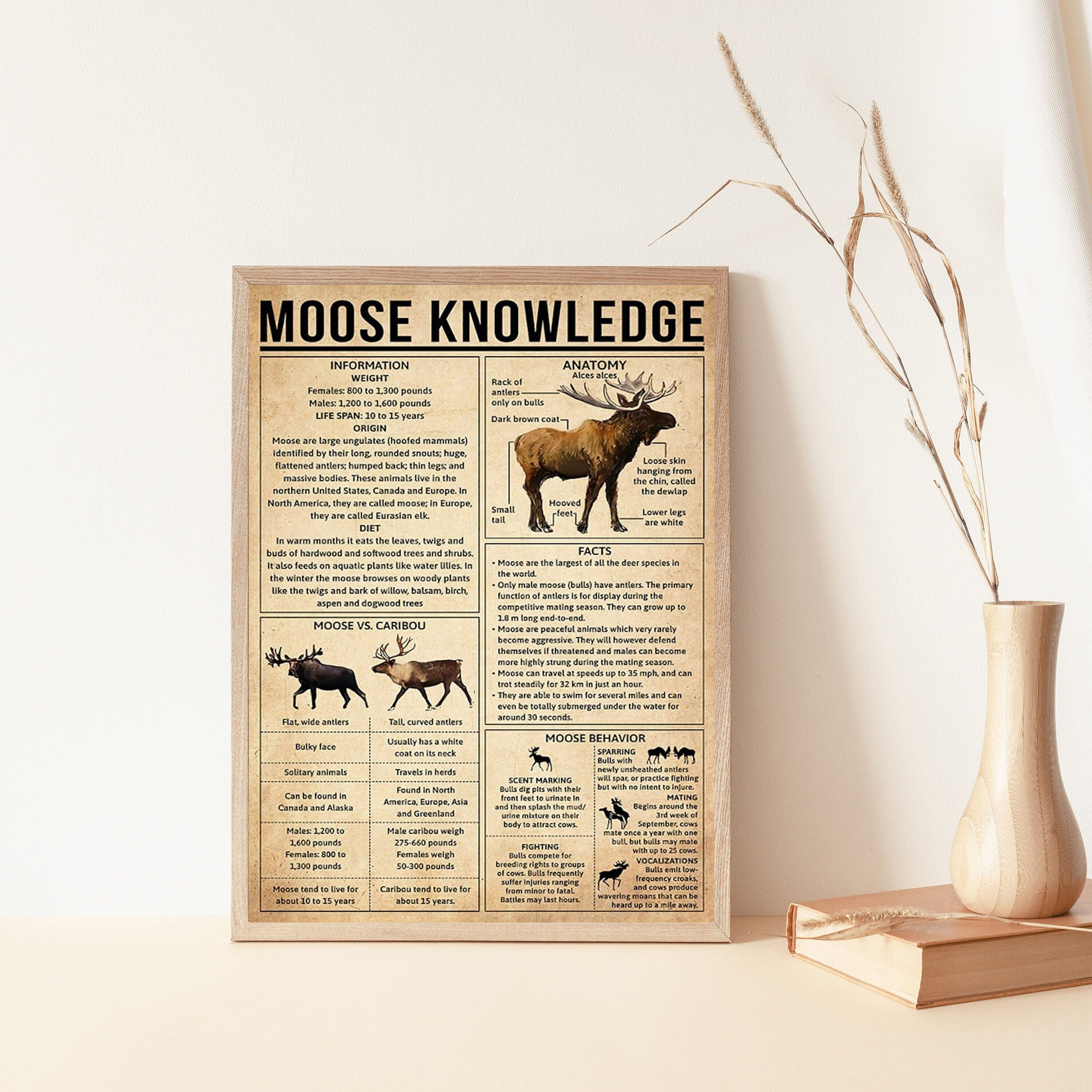 Moose Knowledge Poster, the Anatomy of A Moose, Moose Vintage Poster ...