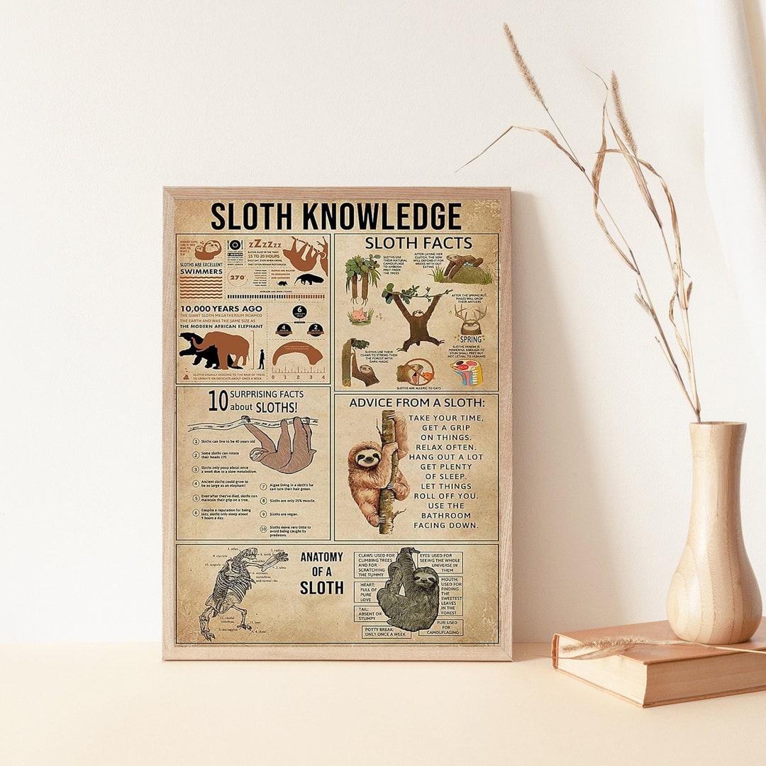 Unframed Sloth Knowledge Poster, 10 Surprising Facts About Sloths Poster, Sloth Facts, Sloths ...